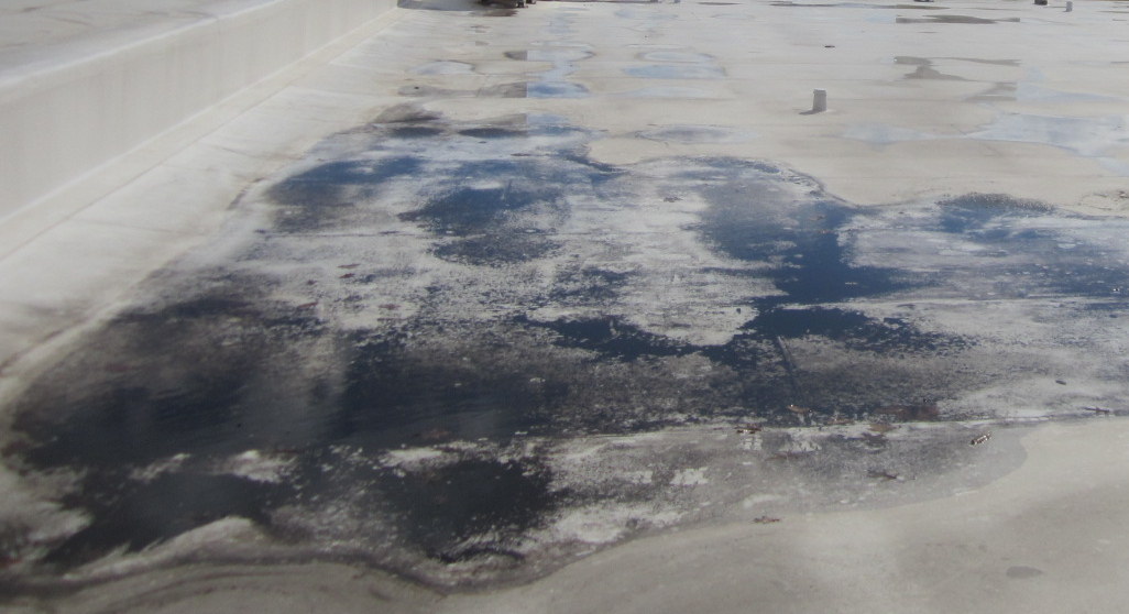 The Wet Roof – Michaud Engineering Inc.